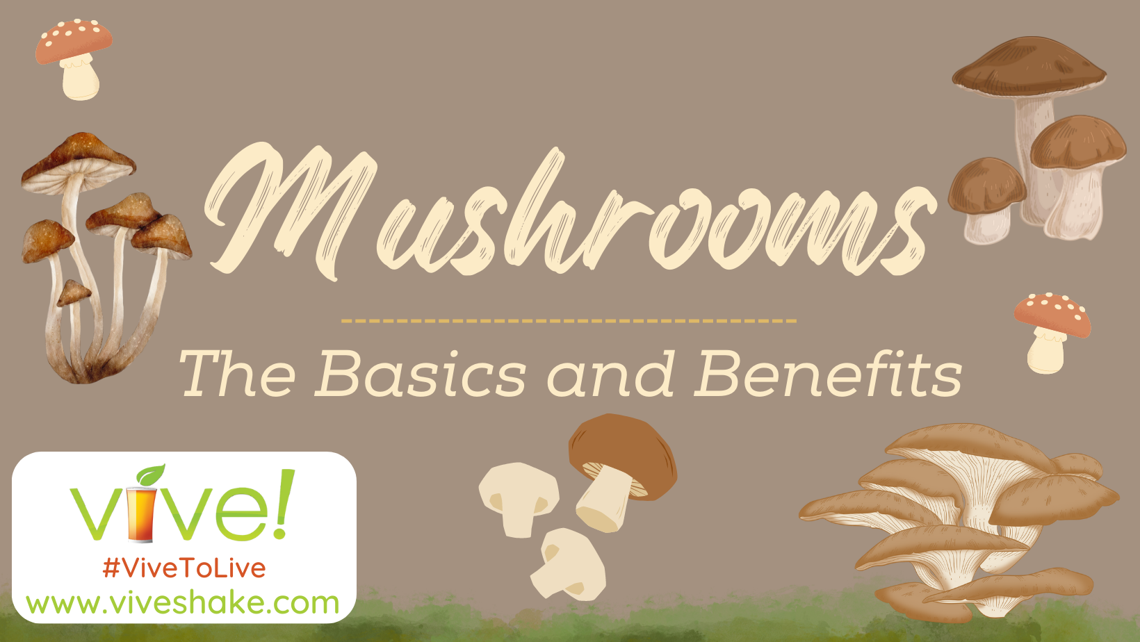 Mushrooms - The Benefits - Vive Shake